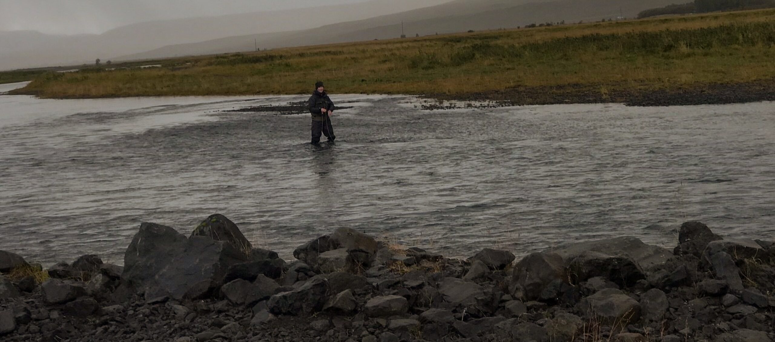 Red Skin Disease in wild Atlantic salmon - The Atlantic Salmon Trust