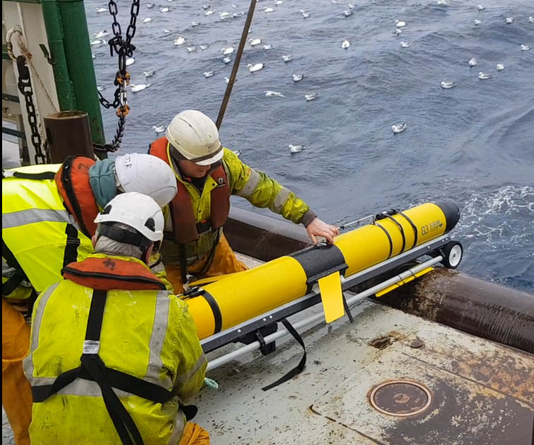 Ocean Tracking of Atlantic Salmon Extends to 600km with Advanced Tech ...