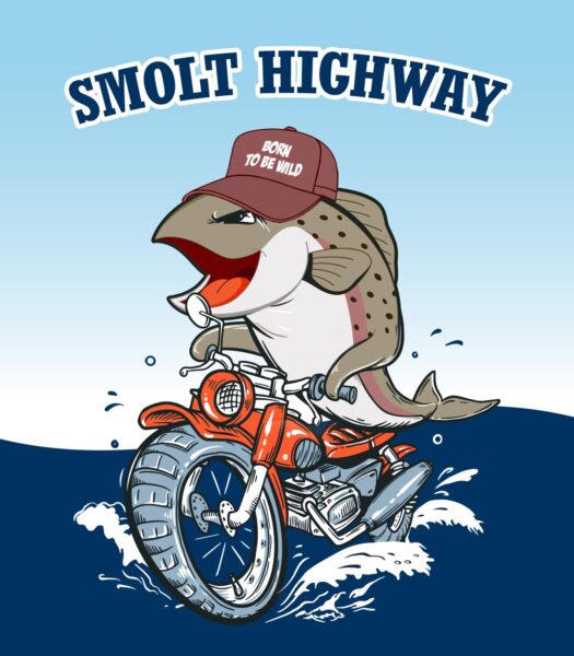 What is the Smolt Highway ? - The Atlantic Salmon Trust