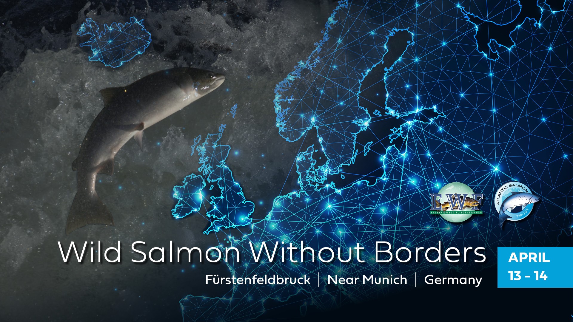 Wild Salmon Without Borders - The Atlantic Salmon Trust