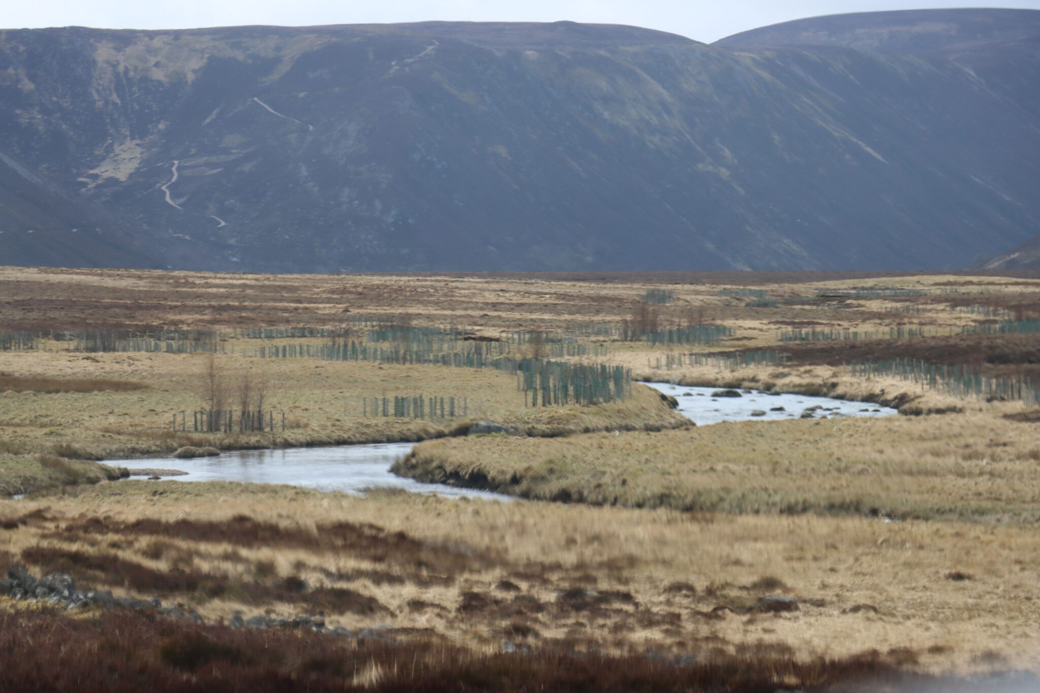 Save the Spring - April 2024 Update - The Atlantic Salmon Trust